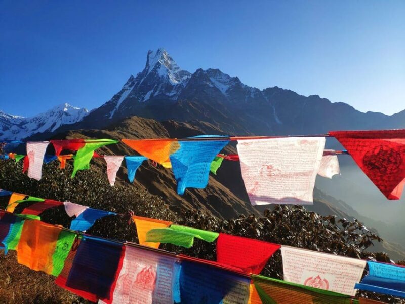 5 Days Mardi Himal Trek - What to Expect: The Trekking Experience