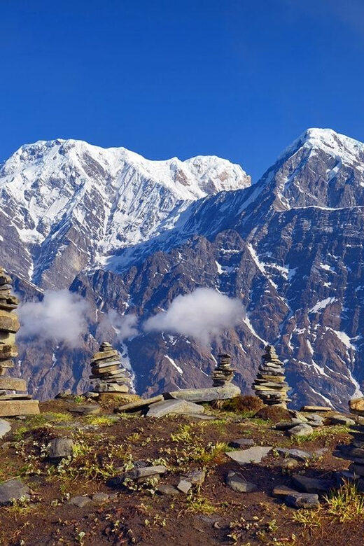 5 Days Mardi Himal Trek - Transportation, Guides, and Value