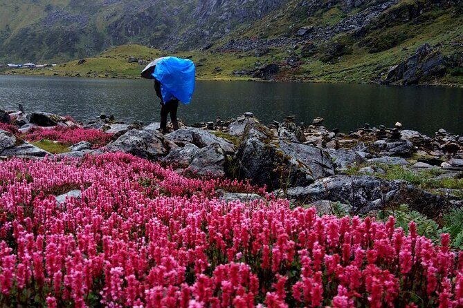 5 Days Pancha Pokhari Trekking from Kathmandu - The Full Breakdown of the 5-Day Pancha Pokhari Trek