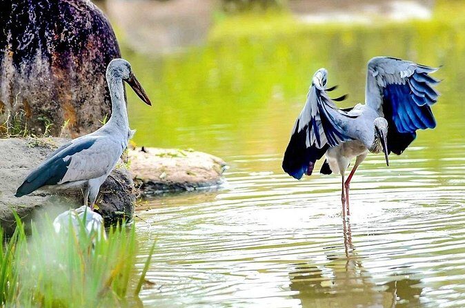 5 Days Private Bangladesh Tour Tea & Rainforest - The Sum Up