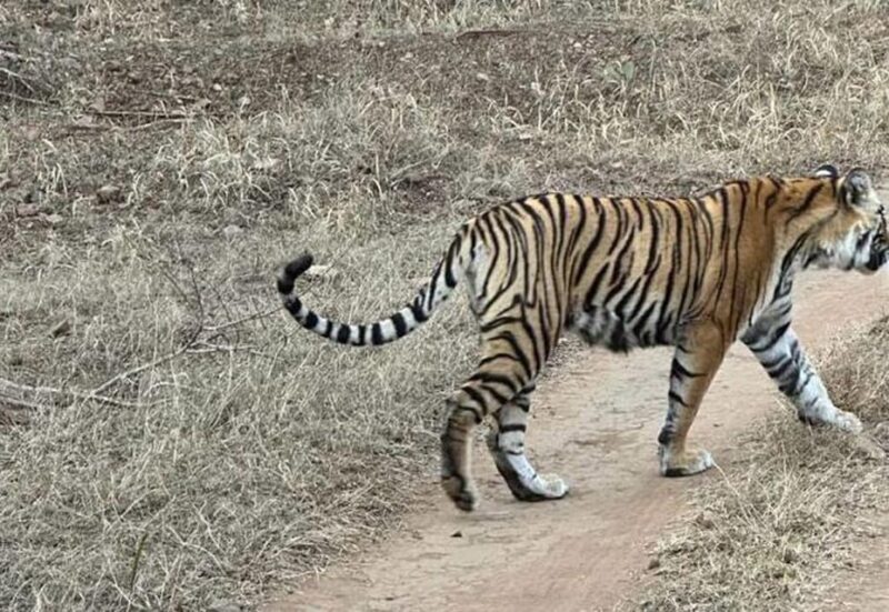 5-Days Private Luxury Golden Triangle Tour Agra Jaipur Delhi - Overview and First Impressions