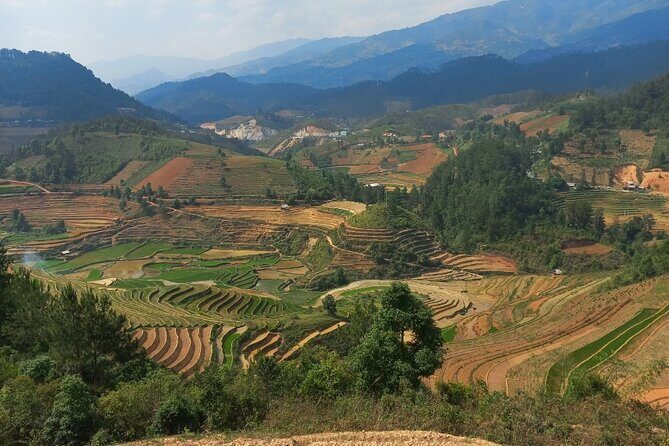 5 Days Private Tour in Hanoi, Mu Cang Chai and Sapa - Day 1: Nghia Lo and the Homestay Experience