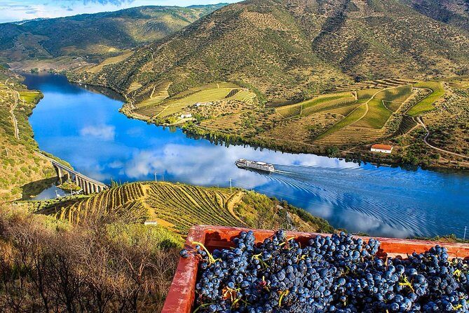 5 Days Private Tour In Portugal from Lisbon - Final Thoughts