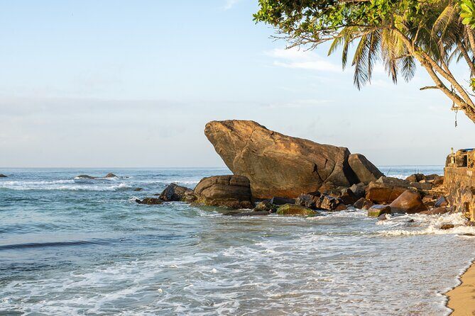 5 Days Private Tour of Sri Lanka with Transportation - Day 3: Mountains and Wildlife