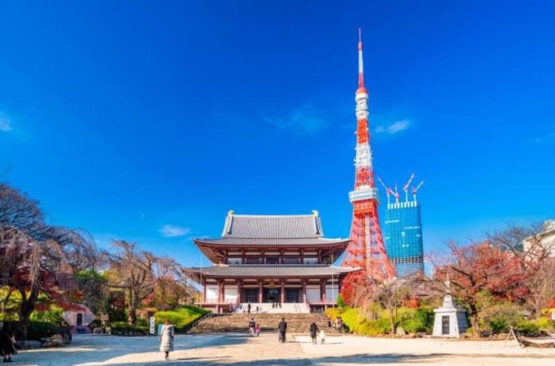 5-Days Private Tour Tokyo, Mt Fuji, Nikko, Hakone and Nagano - An Overview of the 5-Day Itinerary