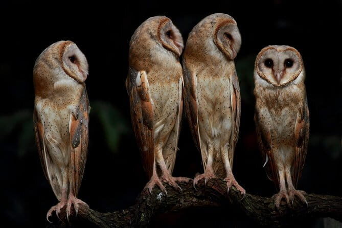 5 Days - Private Wildlife Photography Tour with Unique Accommodation options - Key Points