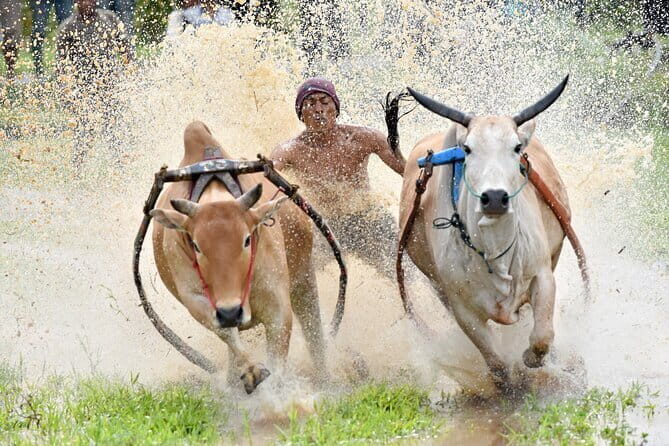 5 days to meet the Mentawai tribe - Support for Local Communities