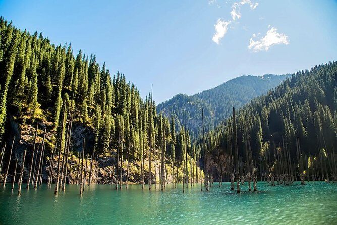 5 DAYS tour through Altyn-Emel, Charyn canyon, Kolsai and Kaindy lakes - Who Is This Tour Best For?