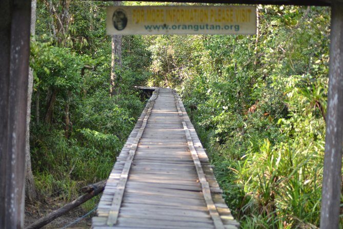 5 Days Truly Orangutan Wildlife Jungle Trail - Who Will Enjoy This Tour?