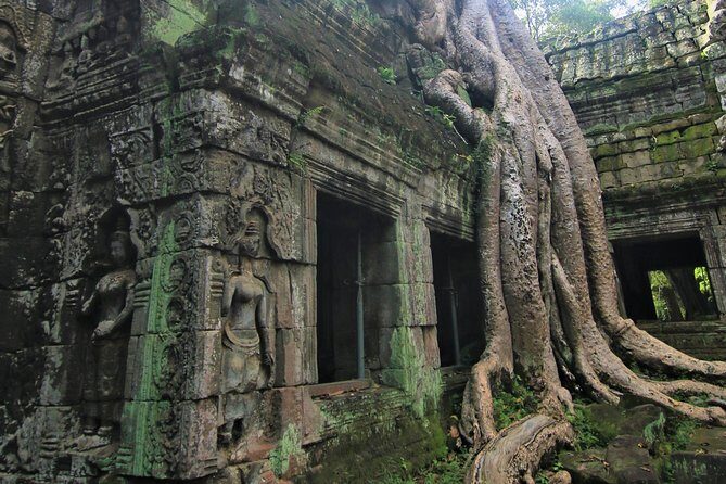 5 Days Vacation Siem Reap & Phnom Penh - Who Is This Tour Best Suited For?