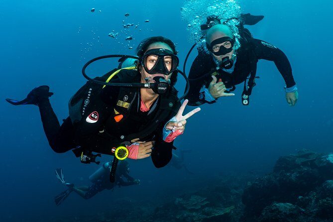 5 Fun Dives in Pemuteran (for certified divers) - Exploration in Menjangan Park - Who Will Appreciate This Experience?