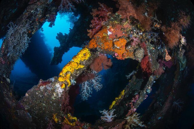 5 Fun Dives in Tulamben (for certified divers) - Discover famous diving sites - FAQ