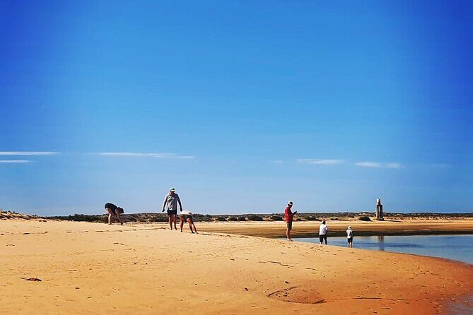 5 Hour Boat Tour in Ria Formosa - Meeting Points and Practical Details