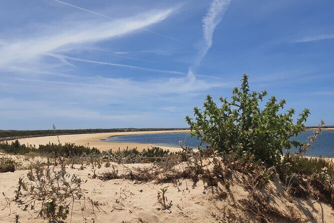 5 Hour Boat Tour in Ria Formosa - FAQ