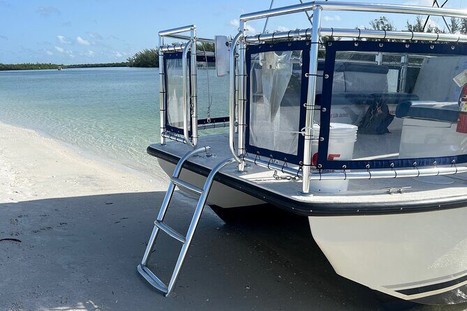 5 Hour Keewaydin Island Beach Tour - Key Points