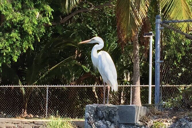 5 Hour Keewaydin Island Beach Tour - Breaking Down the Cost & Value
