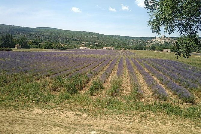 5-Hour Private Sightseeing Tour of the Provence from Marseille in Luxury Car - Why This Tour Delivers Value