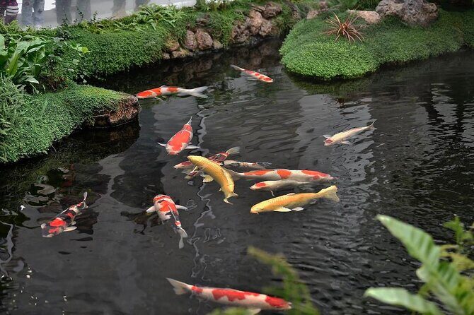 5-Hour Self-Guided Layover Tour to Luo Hong Art Museum with Peking Duck Option - Exploring the 5-Hour Self-Guided Layover Tour to Luo Hong Art Museum with Peking Duck Option