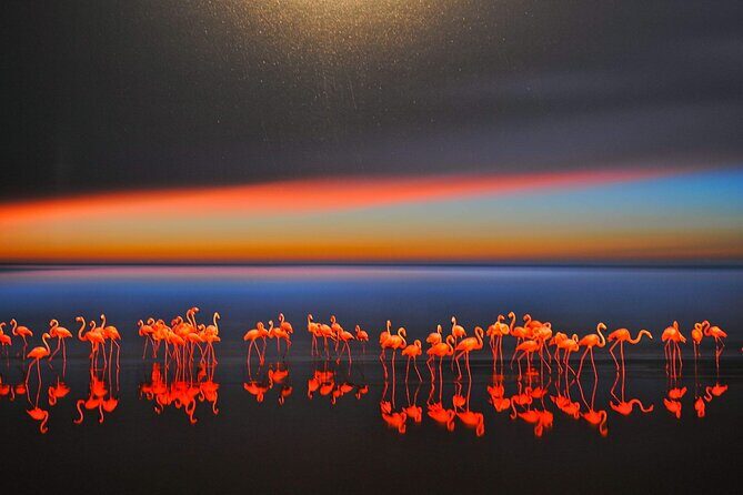 5-Hour Self-Guided Layover Tour to Luo Hong Art Museum with Peking Duck Option - The Sum Up