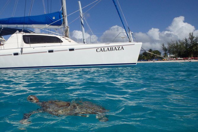 5-Hour Small-Group Catamaran Cruise from Bridgetown with Lunch - Why This Catamaran Cruise Stands Out