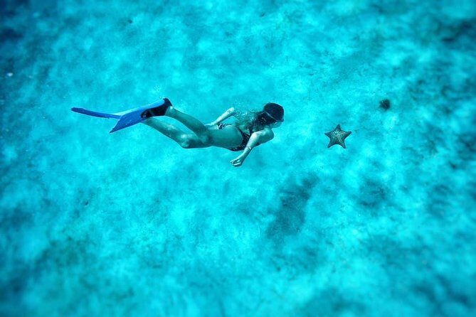 5-Hour Small-Group Catamaran Cruise from Bridgetown with Lunch - FAQ