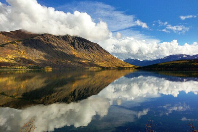 5 Hour Tour to the Yukon Border with Suspension Bridge - Transportation & Practicalities