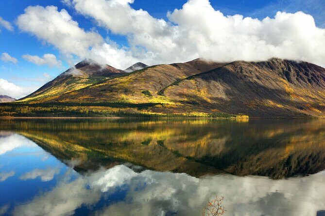 5 Hour Tour to the Yukon Border with Suspension Bridge - Authenticity & Traveler Feedback