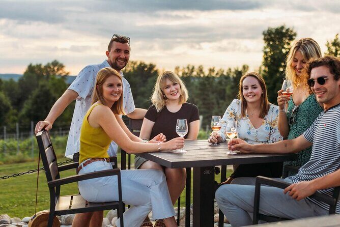 5-Hour Traverse City Wine Tour: 3 Wineries on Leelanau Peninsula - A Deep Dive Into the Tour Experience