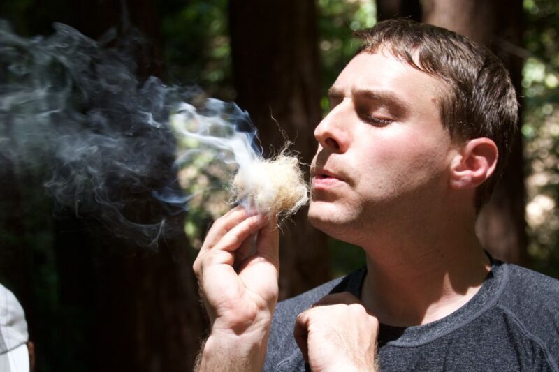 5-Hour Wilderness Skills & Survival Clinic - The Value of Learning Wilderness Skills