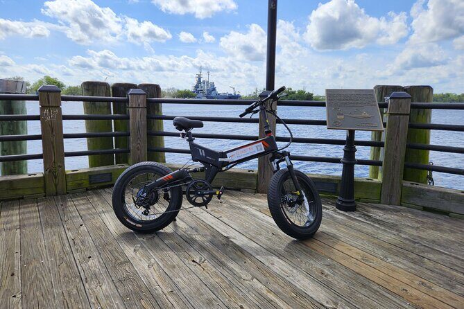 5-Hour Wilmington River to Sea E-Bike Self-Guided Adventure Tour - The Experience in Detail