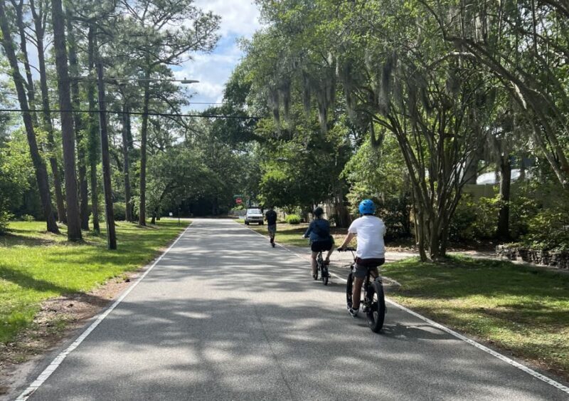 5-Hour Wilmington River to Sea E-Bike Self-Guided Tour - Pricing and Value