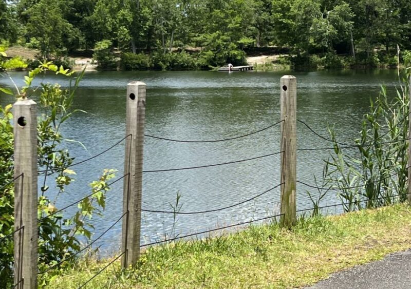 5-Hour Wilmington River to Sea E-Bike Self-Guided Tour - Practical Tips for Participants