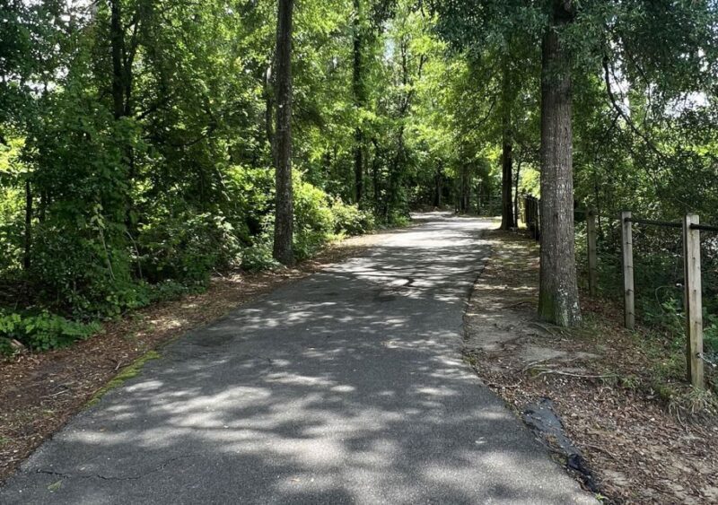5-Hour Wilmington River to Sea E-Bike Self-Guided Tour - FAQ