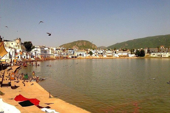 5-Hours Brahma Temple & Pushkar Lake Private Tour from Jaipur - The Sum Up