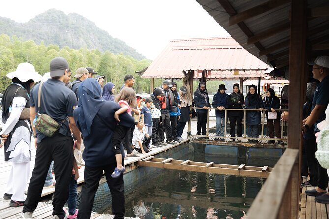 5 Hours Mangrove Boat Tour in Langkawi - The Sum Up