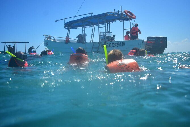 5 Hours Mayan Snorkeling Experience in Tulum - The Guides and Safety