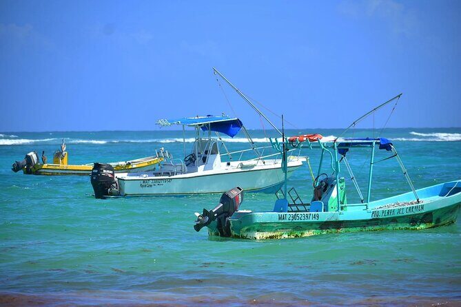 5 Hours Mayan Snorkeling Experience in Tulum - Food and Refreshments