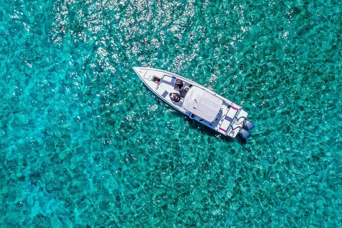 5 Hours Pigs and Turtles with Beach Stop in Bahamas - Key Points