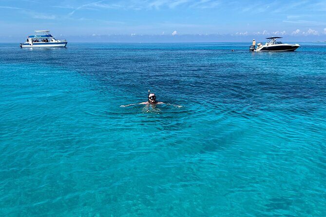 5 Hours Pigs and Turtles with Beach Stop in Bahamas - An In-Depth Look at the Tour Experience