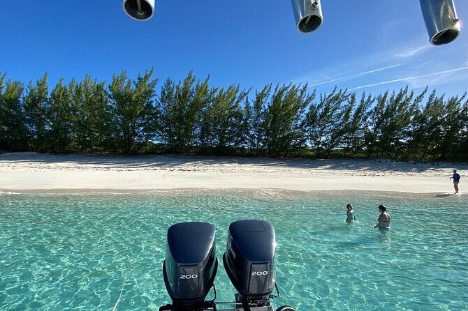 5 Hours Pigs and Turtles with Beach Stop in Bahamas - The Sum Up