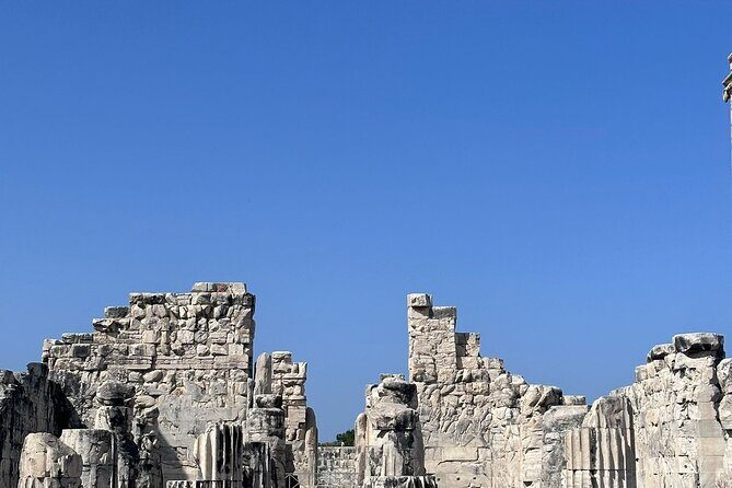 5 Hours Priene Miletos Didyma Customizable Private Tour - What Reviewers Are Saying
