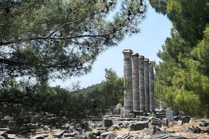 5 Hours Priene Miletos Didyma Customizable Private Tour - Practical Tips for Travelers