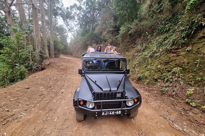 5 Hours Private tour To Porto Moniz, Rock pools, waterfalls - Who Is This Tour Best For?