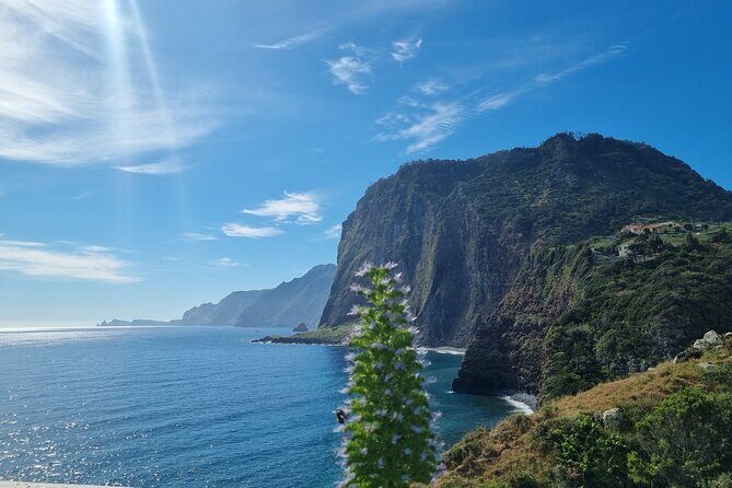 5 Hours Private Tour to Santana, Thatched houses - Who Would Love This Tour?