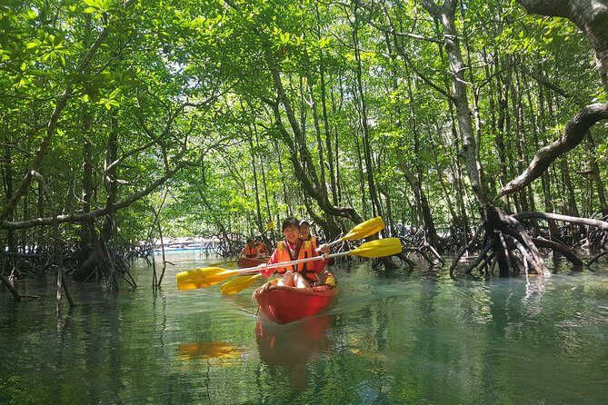 5 Hours Sharing Basis Kilim Mangrove Kayaking Tour - What’s Included and What’s Not