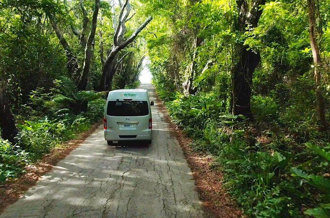 5 Hours St. Nicholas Abbey and Bajan Tour in Barbados - The Sum Up