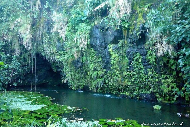 5 Hours Tahiti Island Tour - West and East Coast - The Sum Up