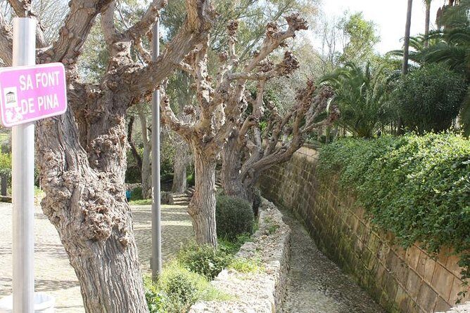 5-hours Tour: Mallorca Inland Charming Villages - Final Thoughts: Who Is This Tour Best For?