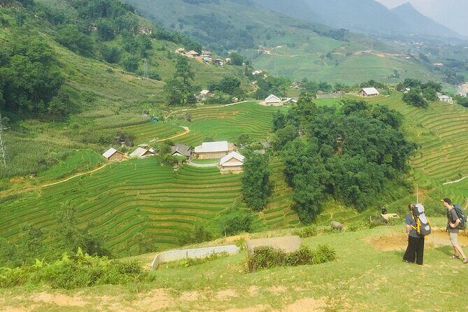 5 Hours Trekking with Terraced Rice Field in Sapa - Key Points: What You Need to Know at a Glance