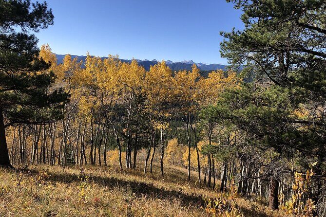 5 hours Winter Wonderland Guided Hike to Fullerton Loop - An In-Depth Look at the Fullerton Loop Winter Hike